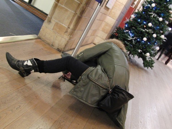 大英自然史博物館：Natural History Museum（ナチュラルヒストリーミュージアム）2009 （ロンドン、英国）｜海に舞う