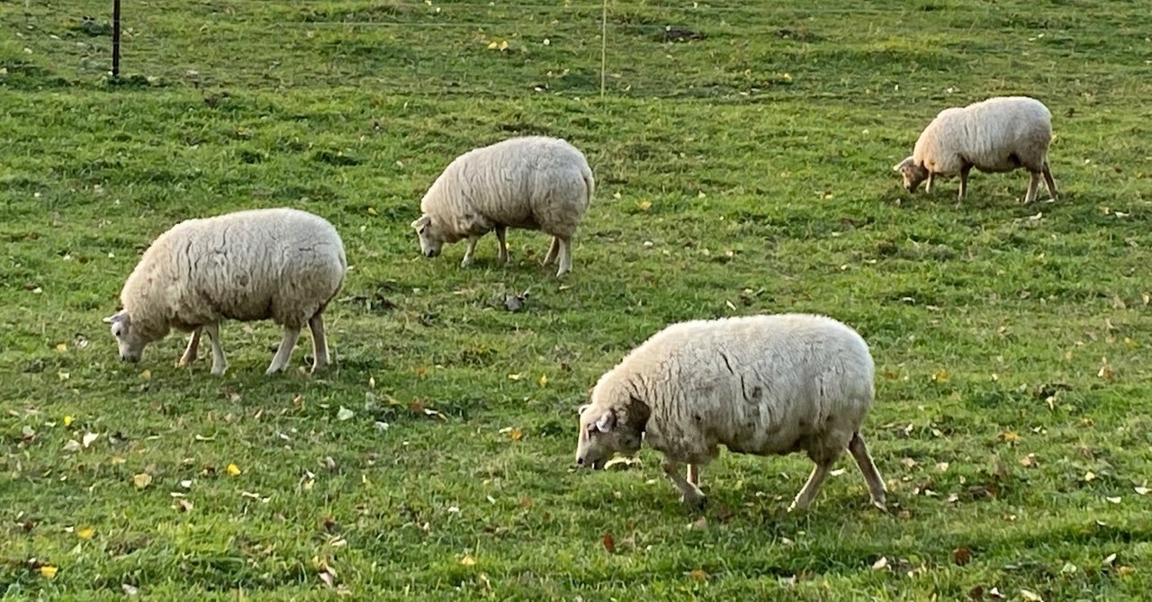 ノマドワーカーの良いところ｜Office Kanon〜オフィス カノン〜