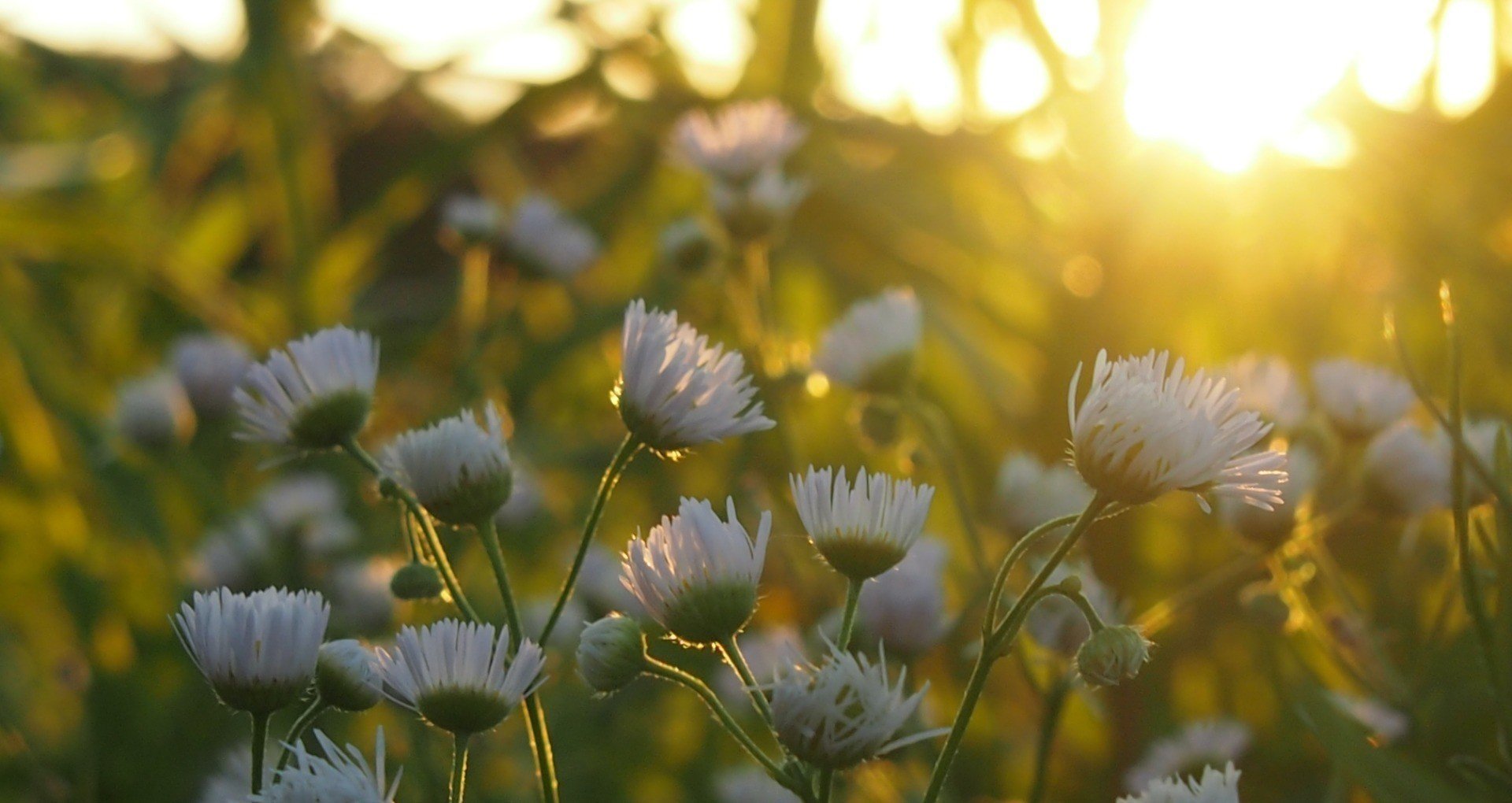 志乃田たぐる[Taguru Shinoda]｜note