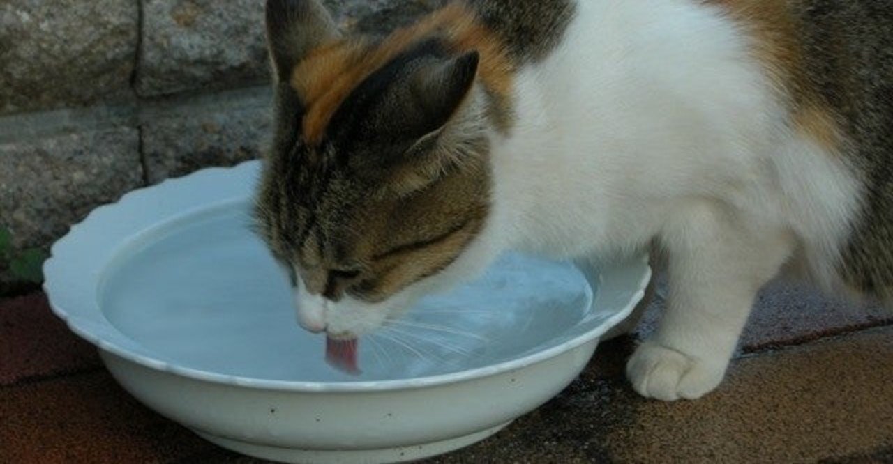 湿気が要る｜1600*900