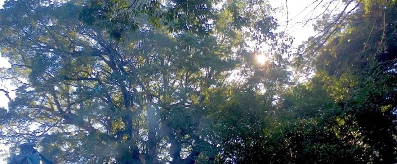 YOGA IS HOW TO LIVE.｜miyoga｜note