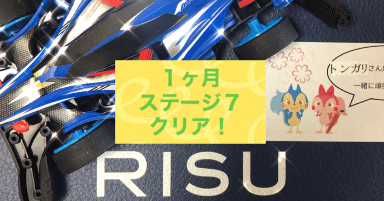 【PR】RISU体験談（約1ヶ月経過） ＝小3息子編＝｜Rita_na