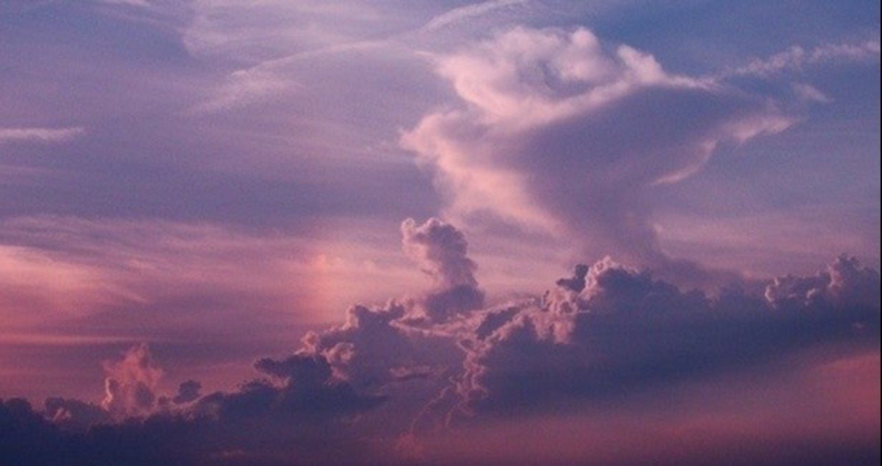 結局どこにも進めない僕の気持ちにもなって｜湊谷翔-Minatoya Kakeru-