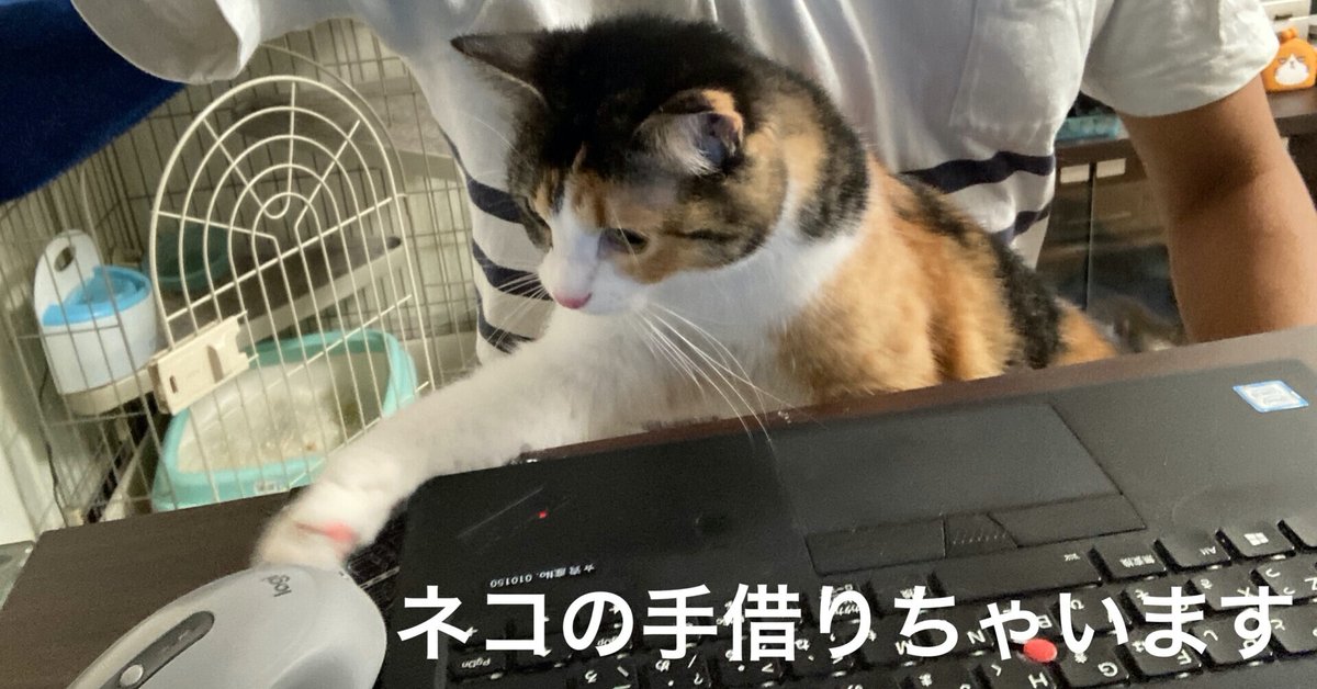 LanScope Catの配布機能を使ったWindows10の簡易キッティング｜Salami