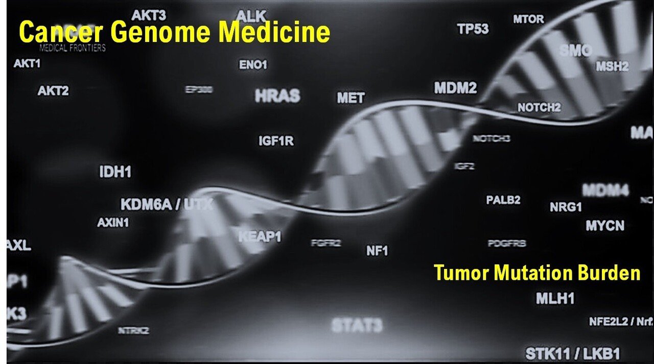 Problems and prospects in TMB-based cancer genomic medicine in Japan ...