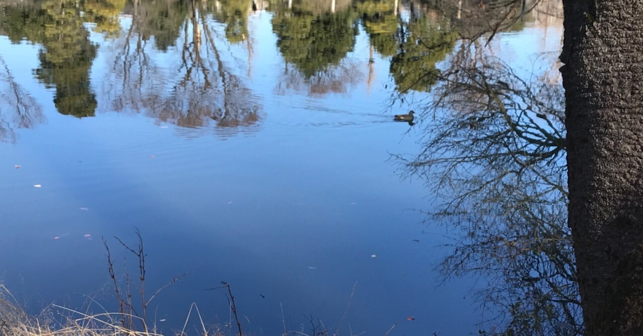 その健気さが｜笹倉慎介／Shinsuke Sasakura｜note