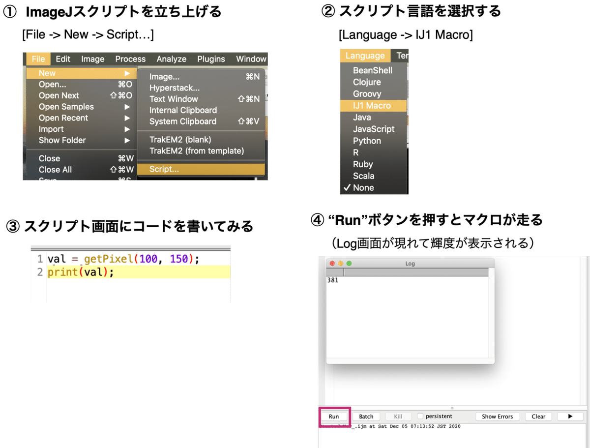 【ImageJ】ImageJマクロを使ってみる｜eiko_programming
