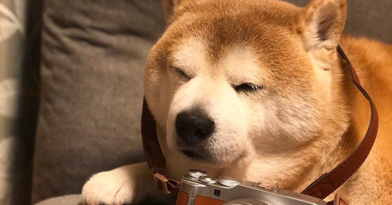 Profile｜ryusuke｜note