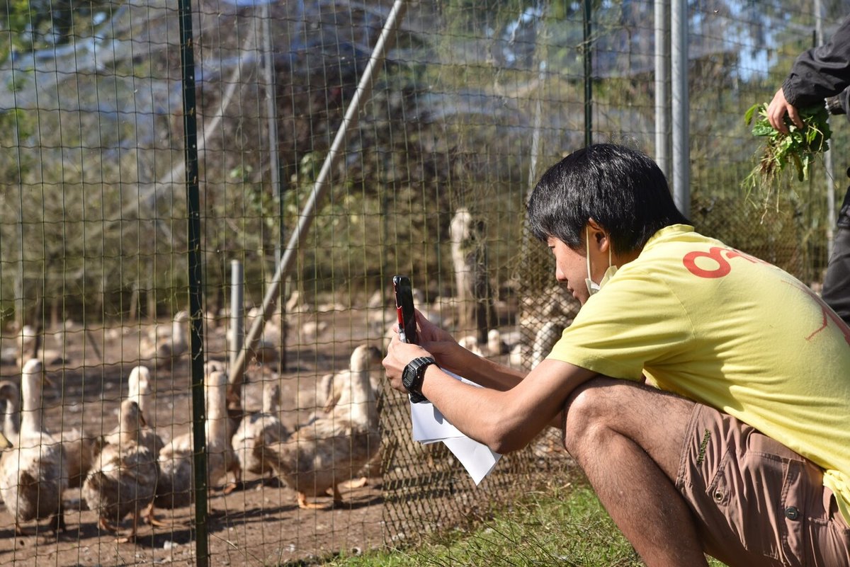 ANTCICADA｜「地球料理」に加わった茨城のキノコたち｜【茨城県公式】シェフと茨城