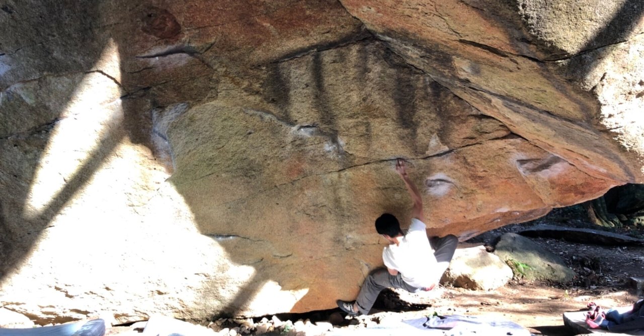 比叡タブノキエリア・大谷エリア(2020/12/22)｜tomoe sawai / クライマー｜note