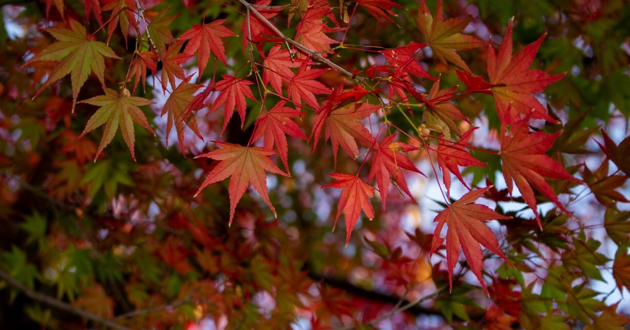 作品11 廻る｜breakstar