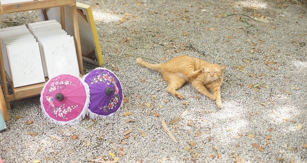 古川節子（Furukawa Setsuko)｜note