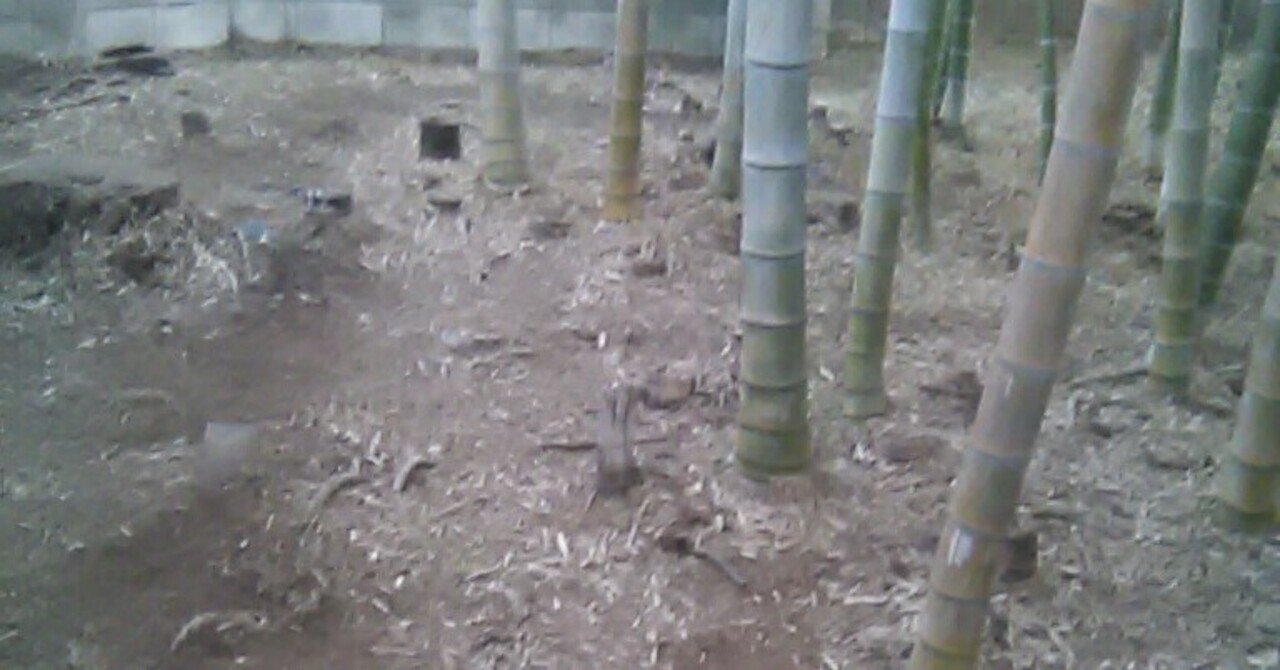 道を つくる｜Make a way｜moOog yamamOTO