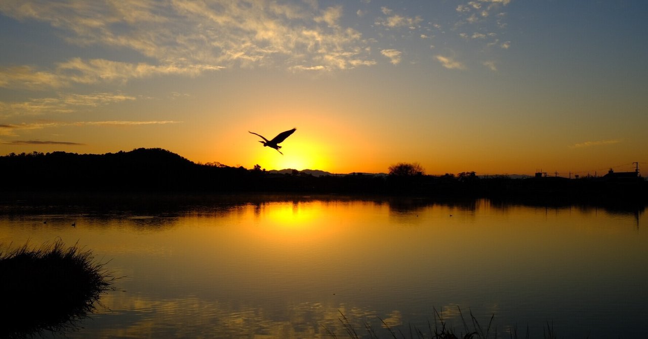 写真を撮ること｜yosuco