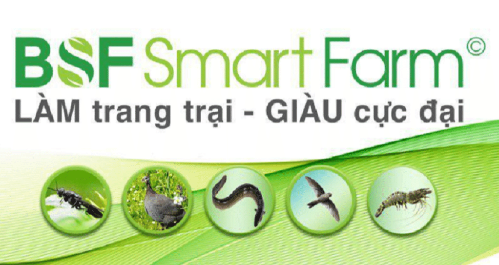 BSF Smart Farm｜note