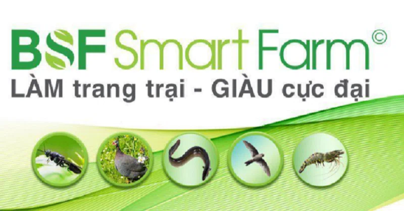 BSF Smart Farm｜note