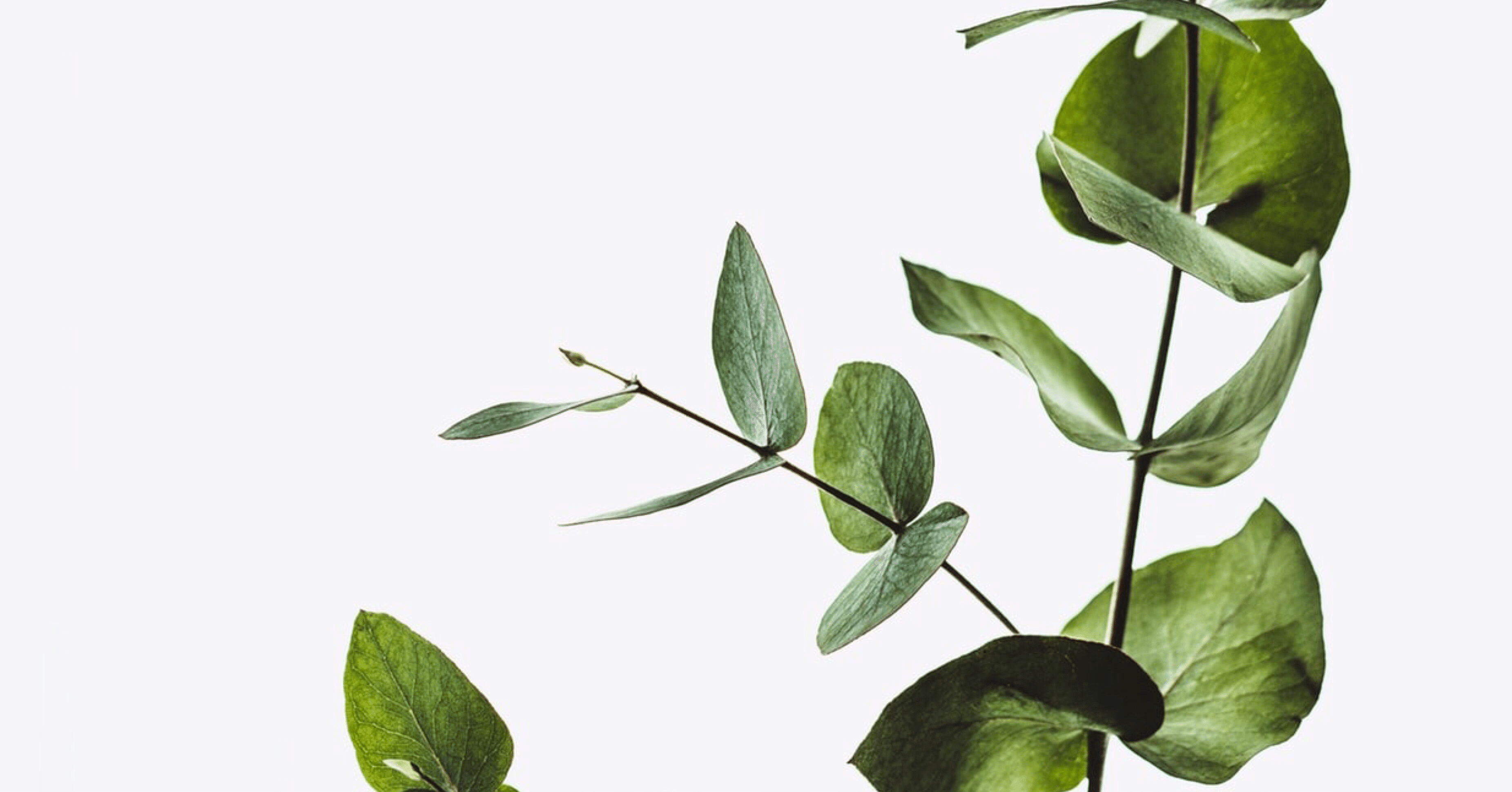 hairmake_kanako｜note