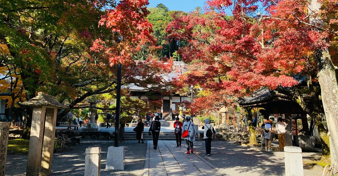 YUKAMI / ユカミ｜note