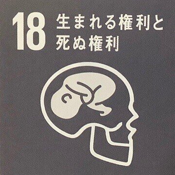 p032.もし、SDGs18番目の目標があったら？ネットで見つけた14個のアイコンをまとめてみたら、、、｜AIとたわむれながら事業計画を作る人｜たかしん