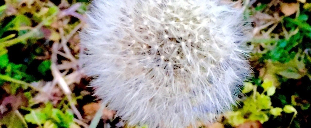 YOGA IS HOW TO LIVE.｜miyoga｜note