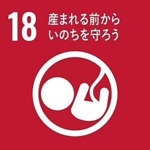 p032.もし、SDGs18番目の目標があったら？ネットで見つけた14個のアイコンをまとめてみたら、、、｜AIとたわむれながら事業計画を作る人｜たかしん