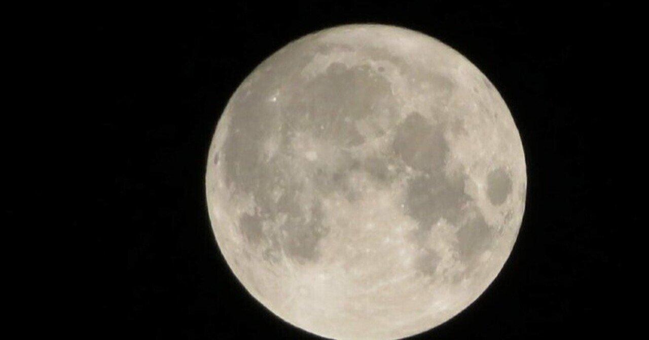 Moon Sick Ep.6｜樹