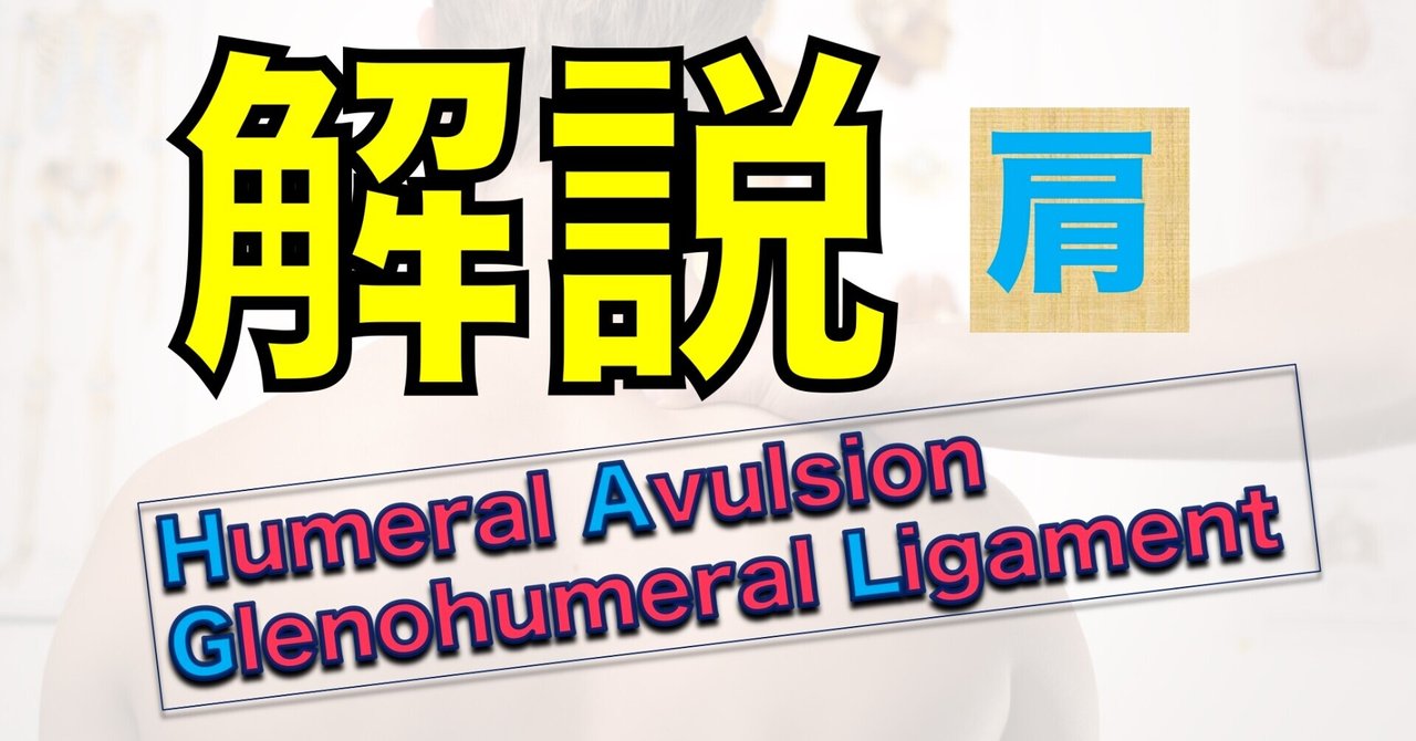 Shoulder,HAGLを紐解く｜Oka/鍼灸理学トレーナー