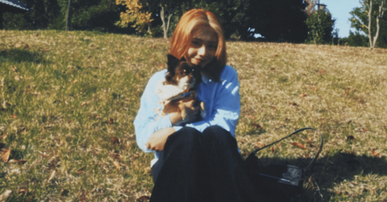 【自己紹介】ちょっと遅めの自己紹介します🌼動画編集始めたキッカケ｜danbabeboo / ダン｜note