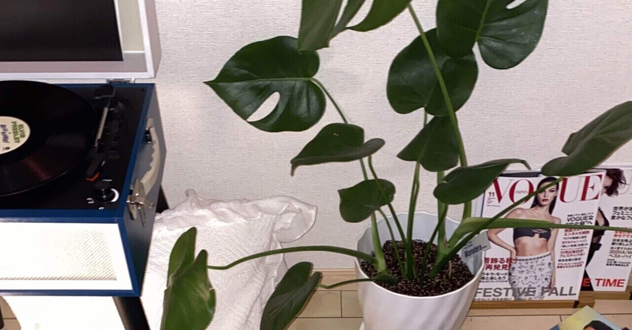 【Tea time】一人暮らし始めて約2年。思った事。｜danbabeboo / ダン｜note