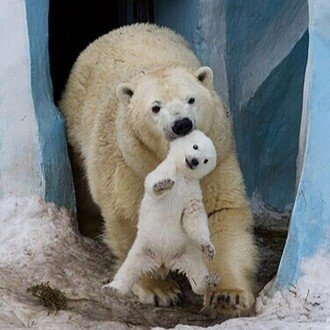 Mapboxの新CEO就任に思う｜moritoru