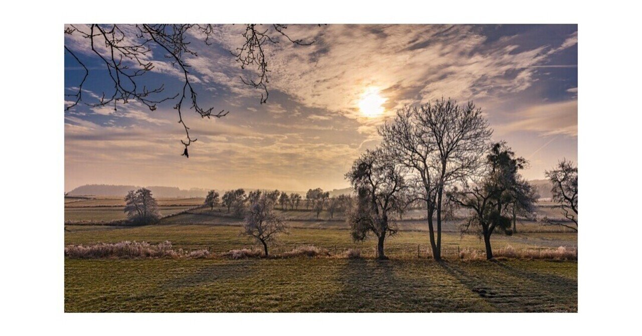 マクロビアン薬剤師 小寒〜芹乃栄｜miyuki_oku｜note