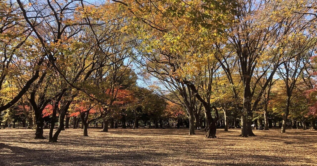 「私」の存在についての憂事｜のっぺらぼう