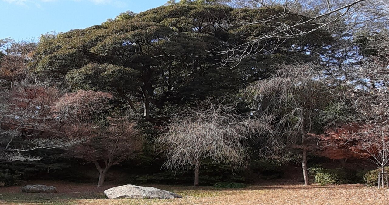 今日も1日がスタート｜MUSASHI.634