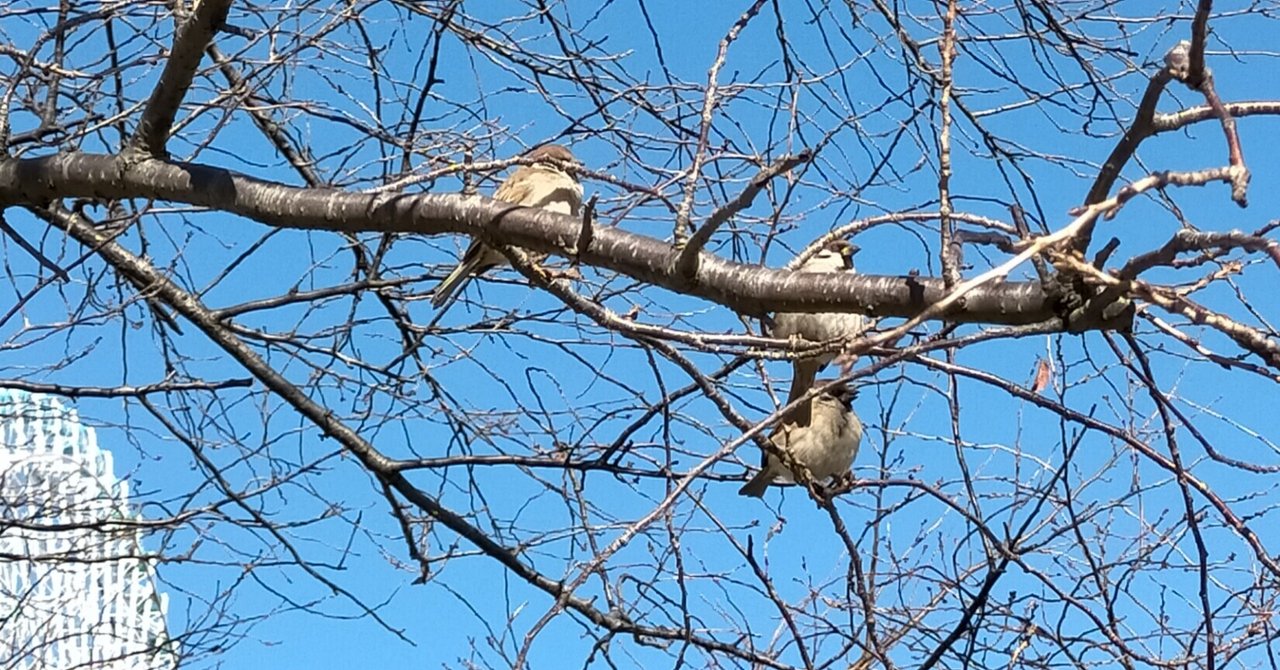 小さな配慮の積み重ね｜Ryusuke Nagano（永野 龍典）クラゲ先生｜note