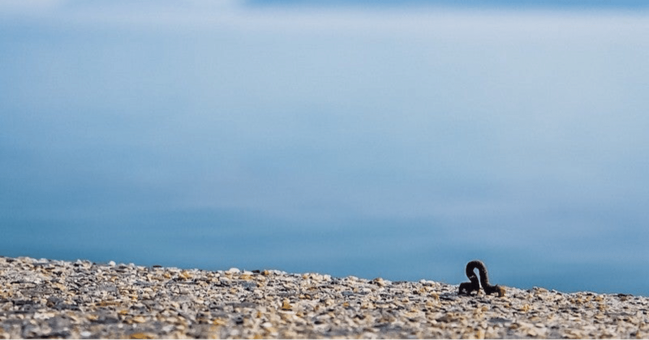 施策検討で重視すること｜hoshiiii.ai | official🇺🇦｜note