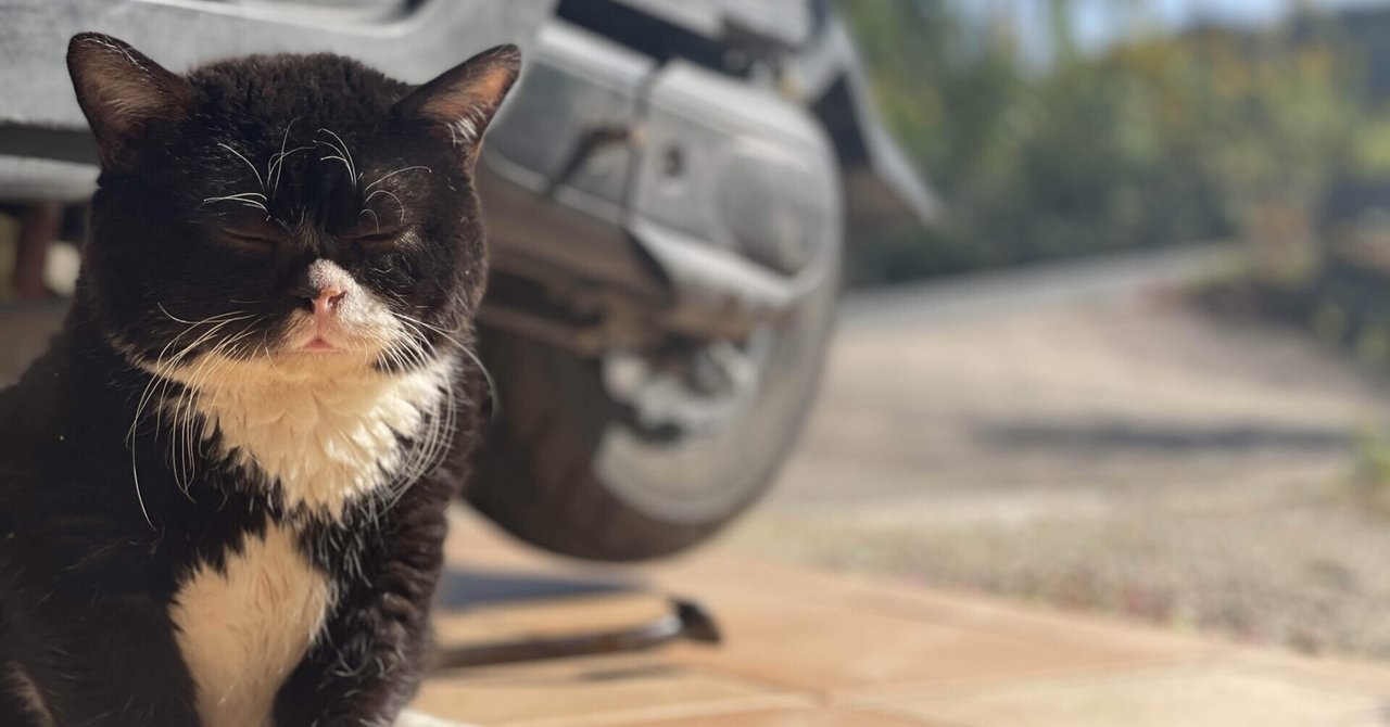 第116回 しもふりチューブ｜hisashi