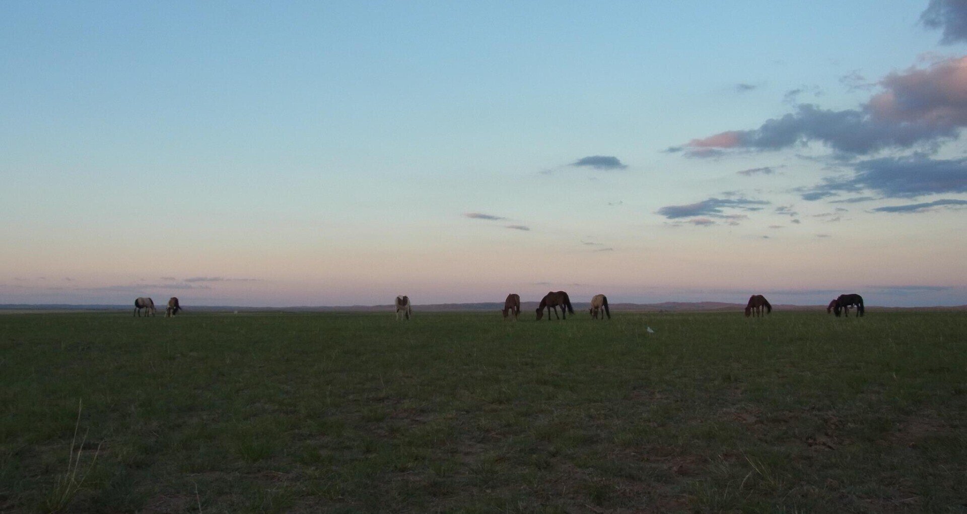 アカサビナナ｜note