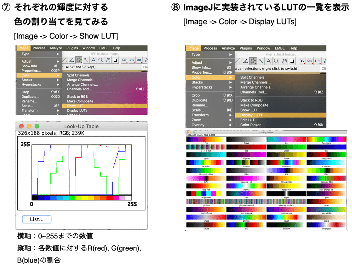 【ImageJ】画像のコントラストを変えるとは？｜eiko_programming