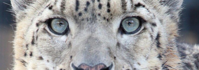 るり˙ᴥ˙｜note