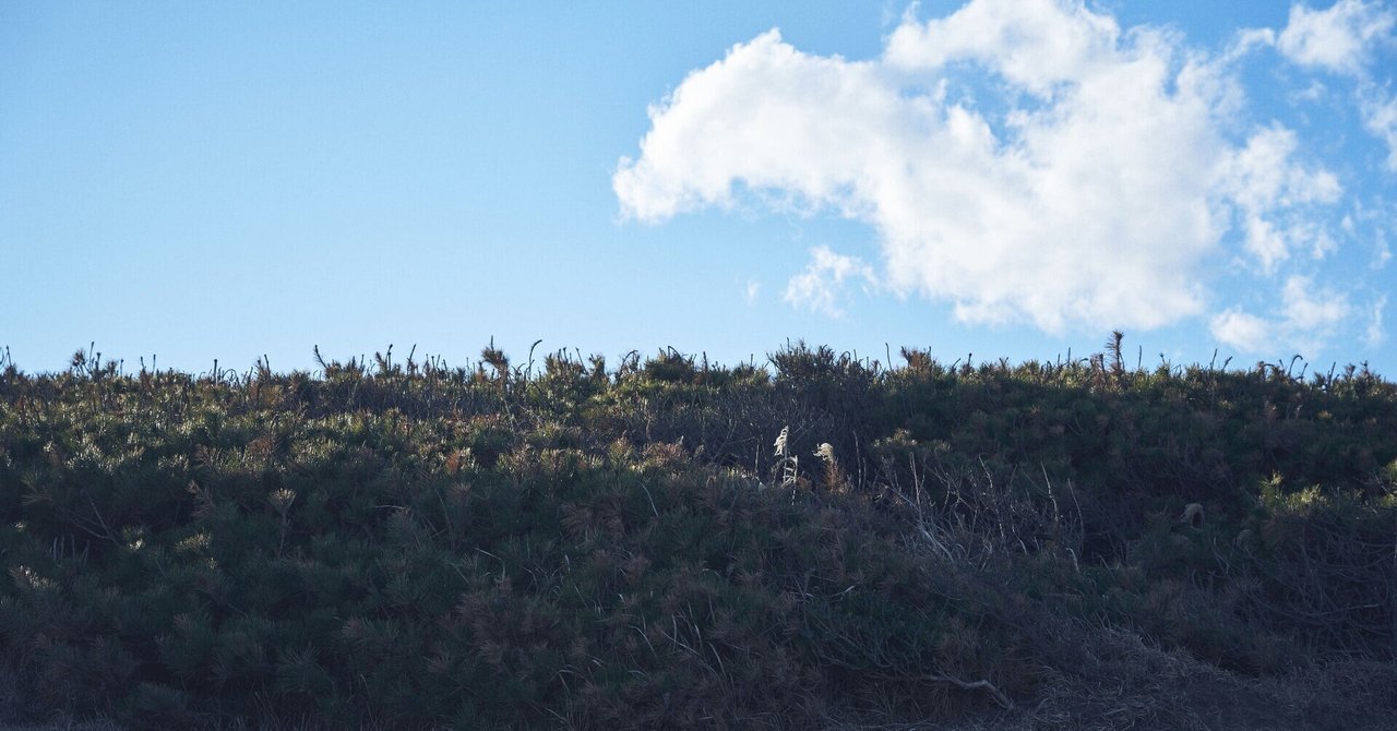 料理と毎日 1月3日〜1月9日｜今井真実 /料理家｜note