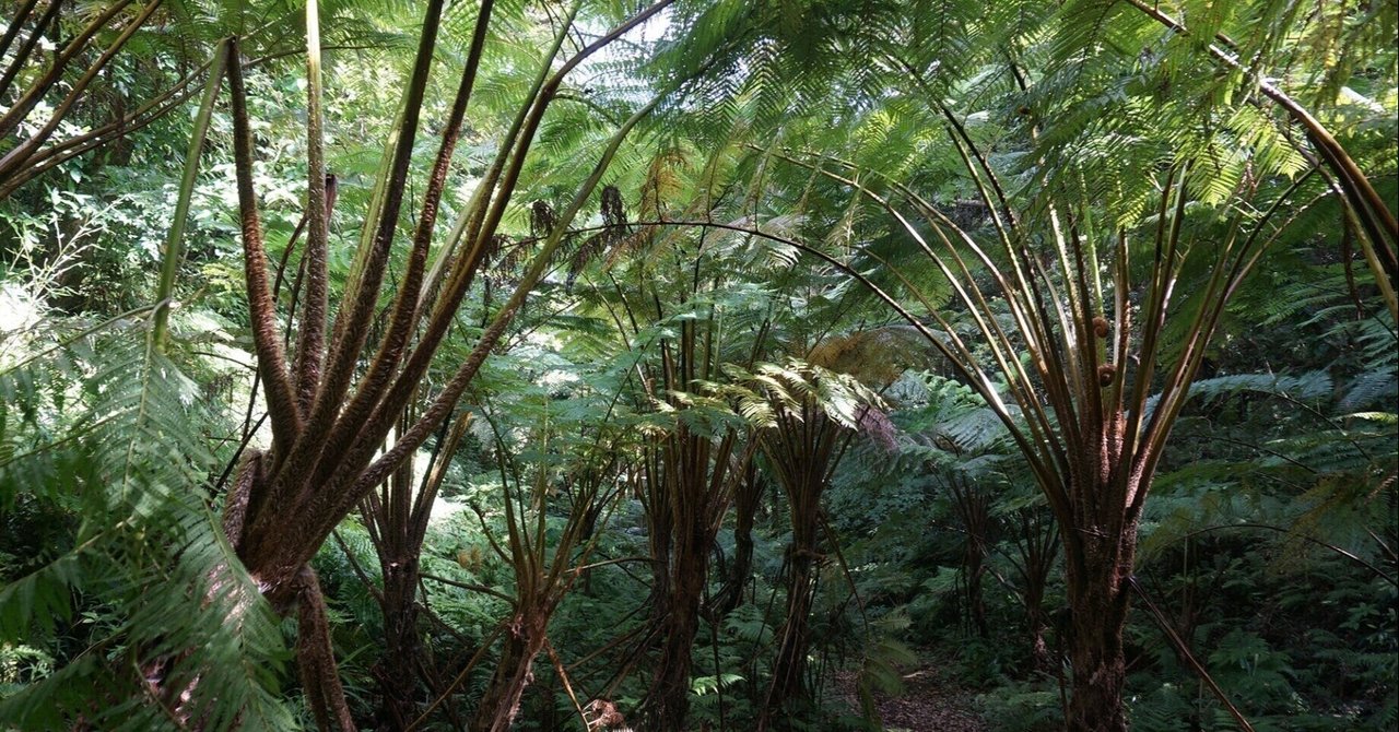 日替わり部活のススメ｜大森 武