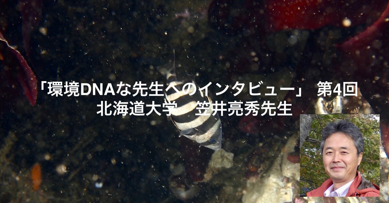 「環境DNAな先生へのインタビュー」 第4回 北海道大学 笠井亮秀先生｜くさなぎふぐまる
