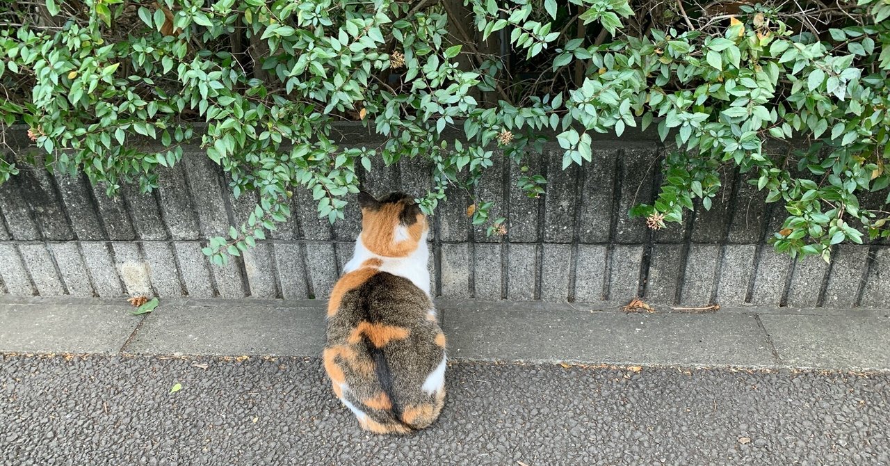 2021年、どうやって働こう。｜カオリ🌿薬剤師｜note