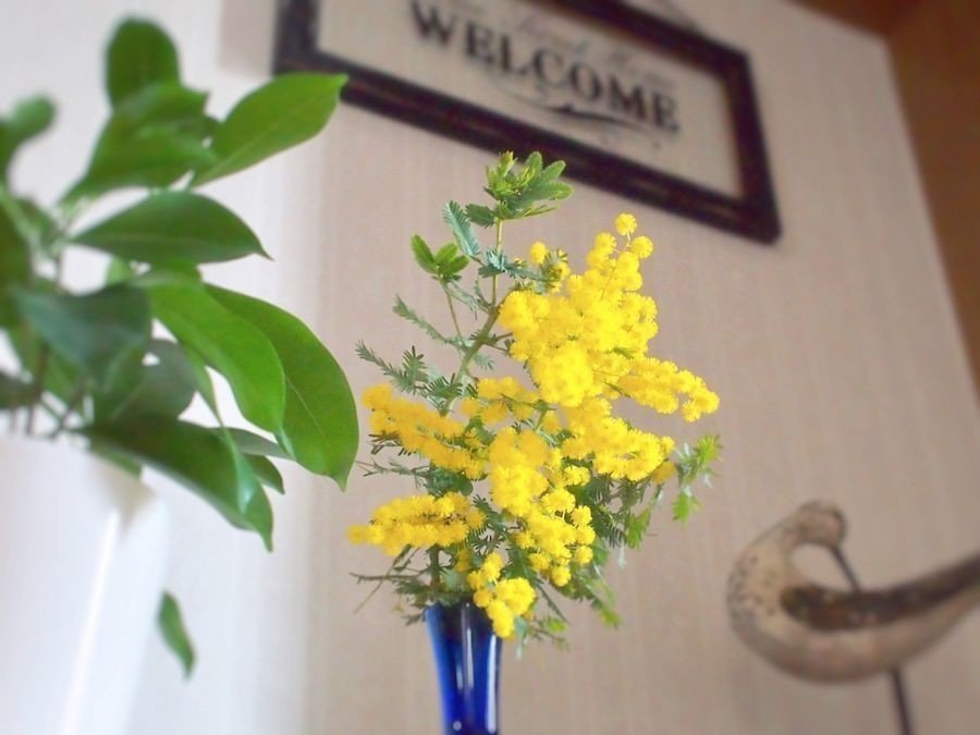 はるはきいろ｜Reiko. M