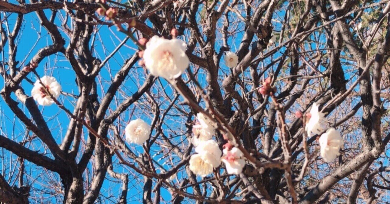 さよならのあいさつはだいじな時間です｜ryoju｜note