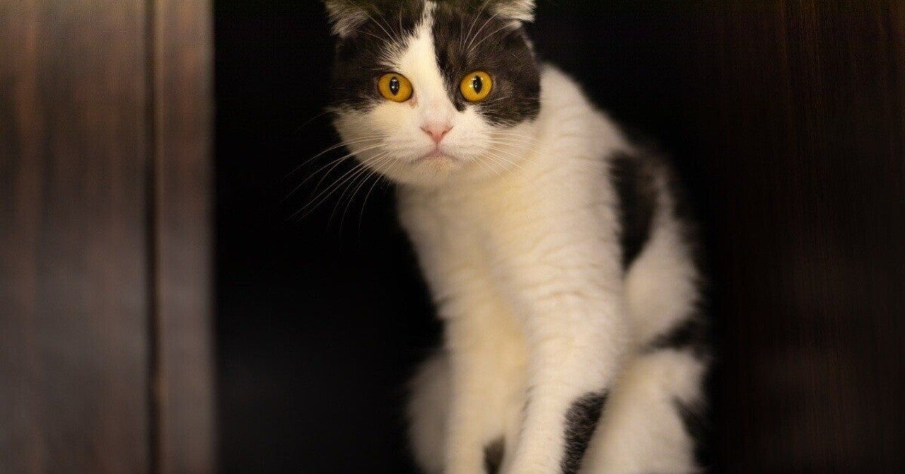 最低限の外見は整えるべき｜NAKAGAKI_IP