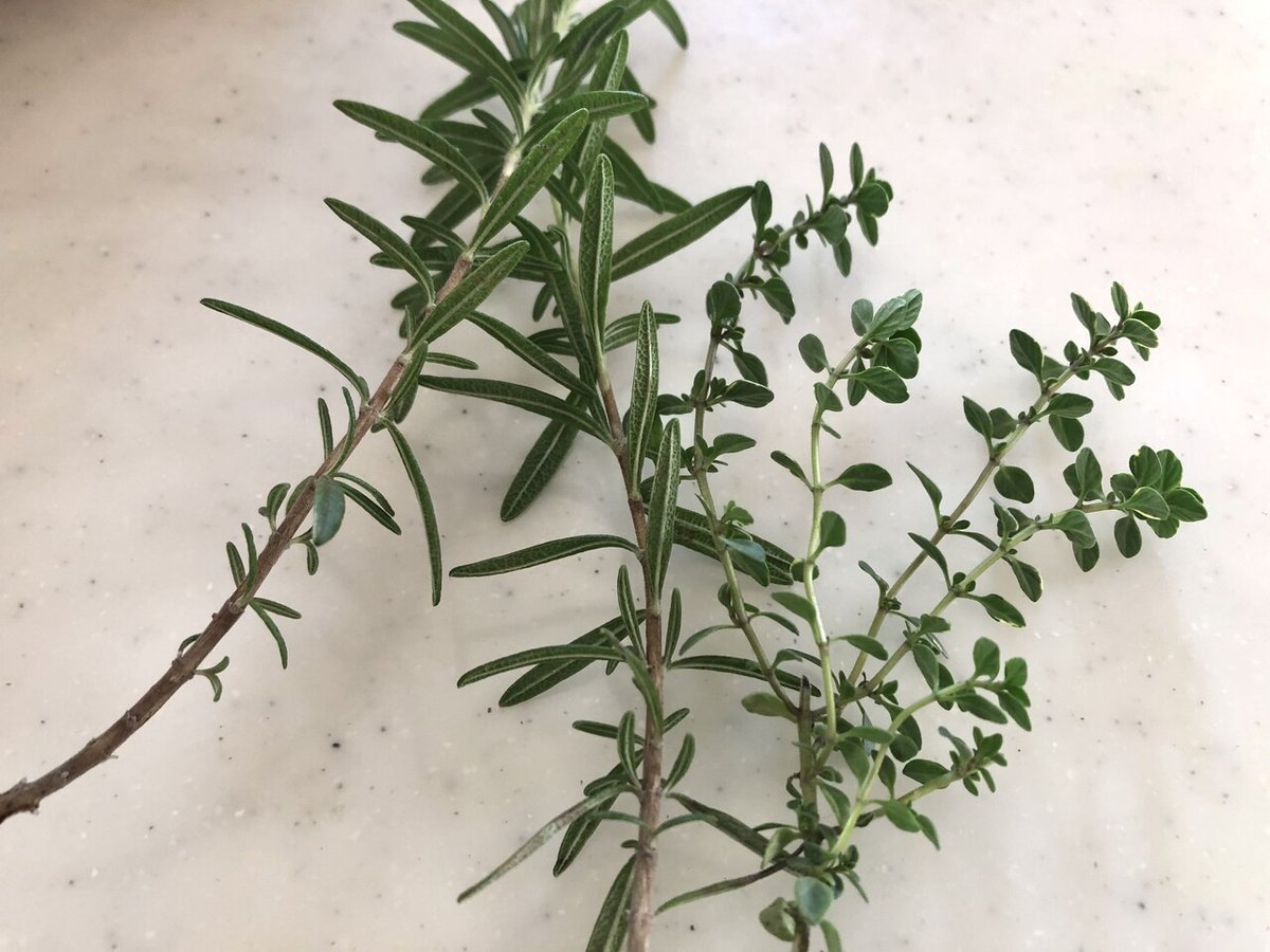 「ハーブ香るローストビーフ」オーブンで手間なし♪｜ゆのきりょうこ