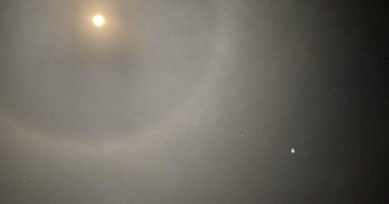 【2020年全てに🌏ありがとう ️】｜Maki kawada｜note