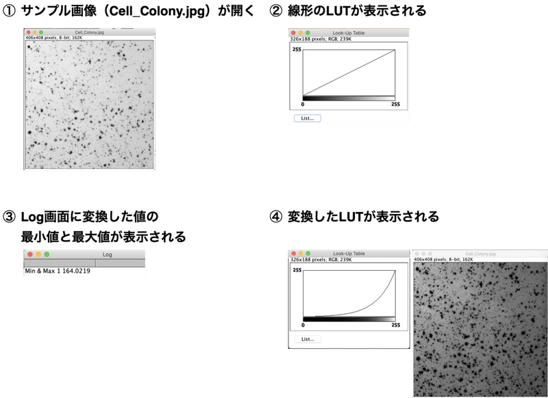 【ImageJ】ImageJマクロでLUTを変換する｜eiko_programming