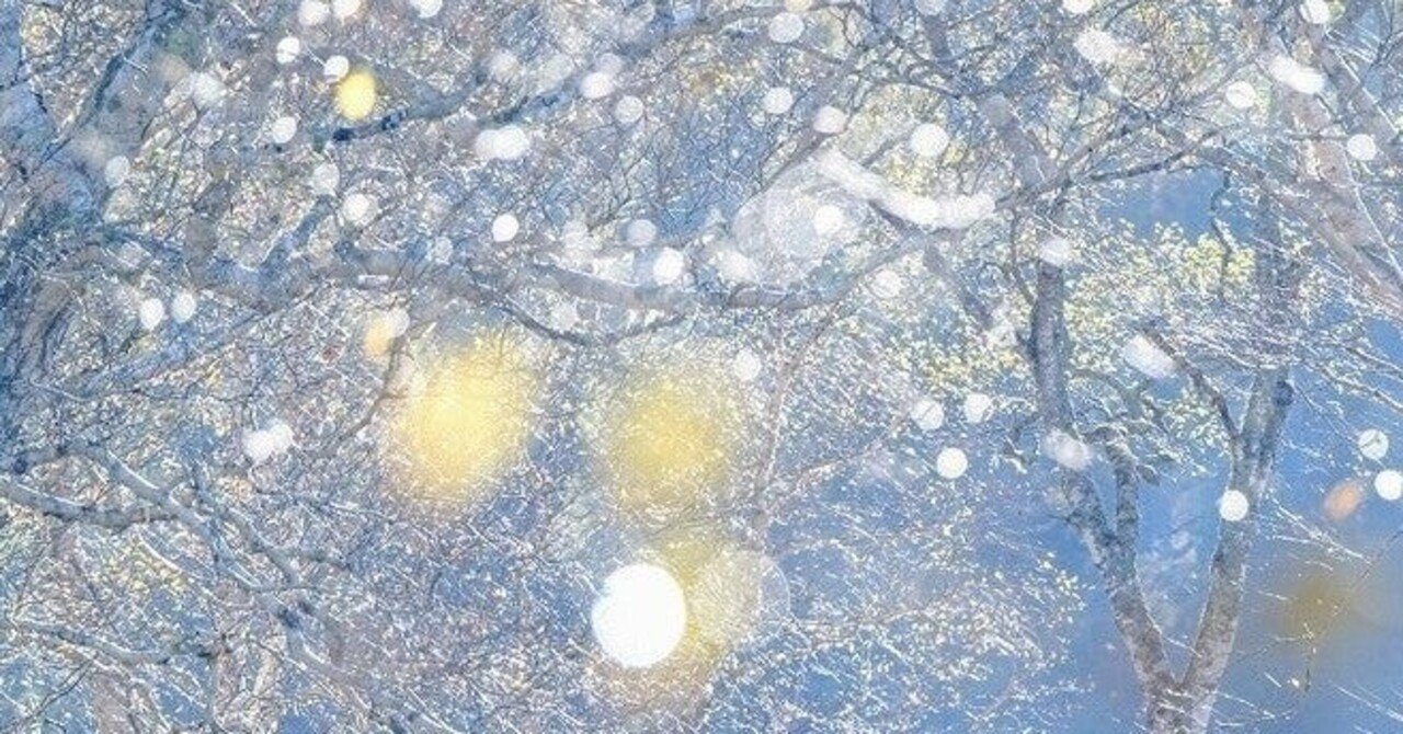 雪滑らしをやってみたい｜kasuga hiroshi